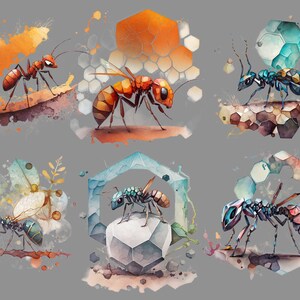 Watercolor Ants Clipart Bundle, 20 Digital Ants PNG, Watercolor Art ...