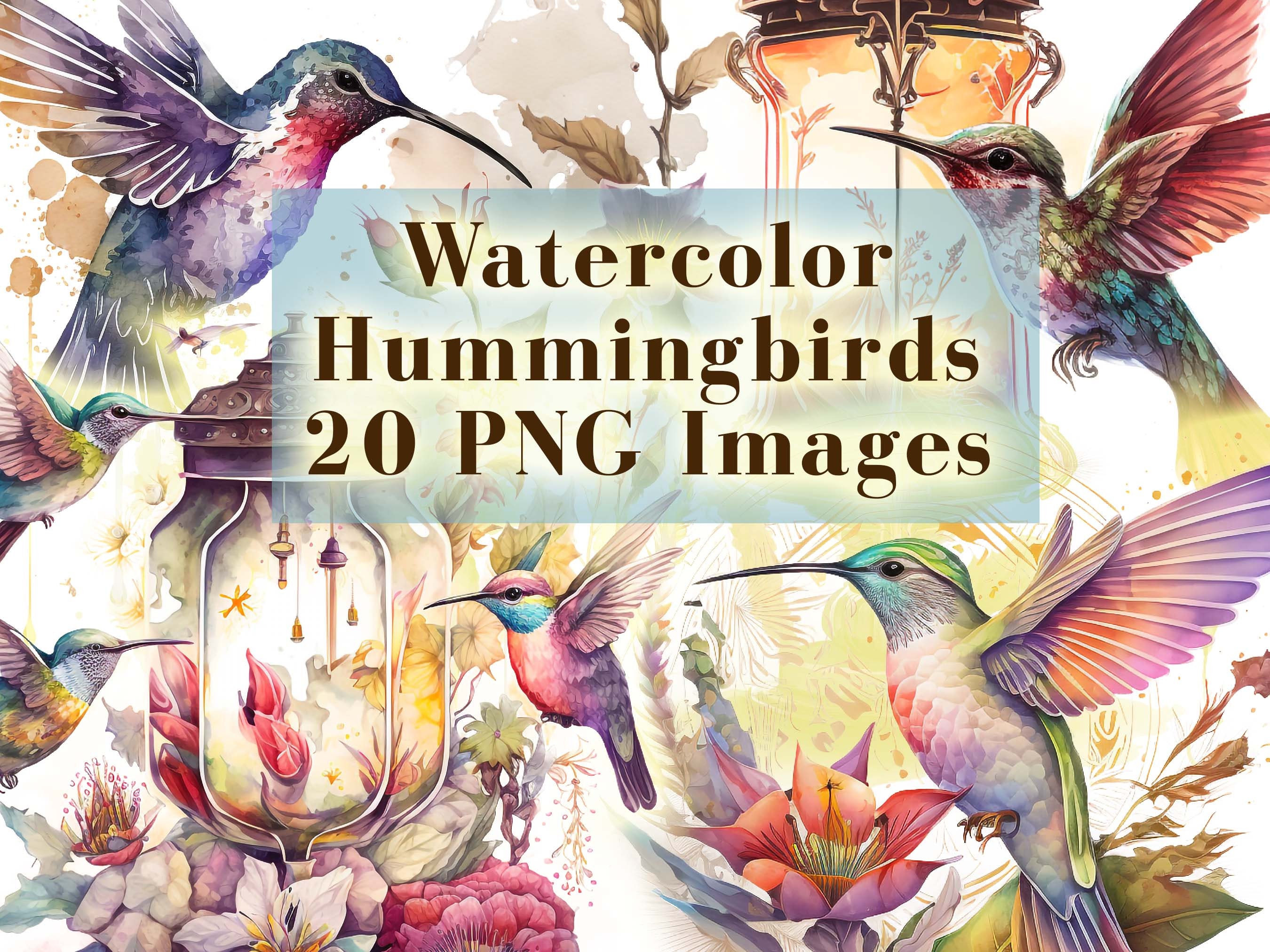 Watercolor Hummingbird Clipart Bundle - 20 PNG Illustrations, Crafting ...