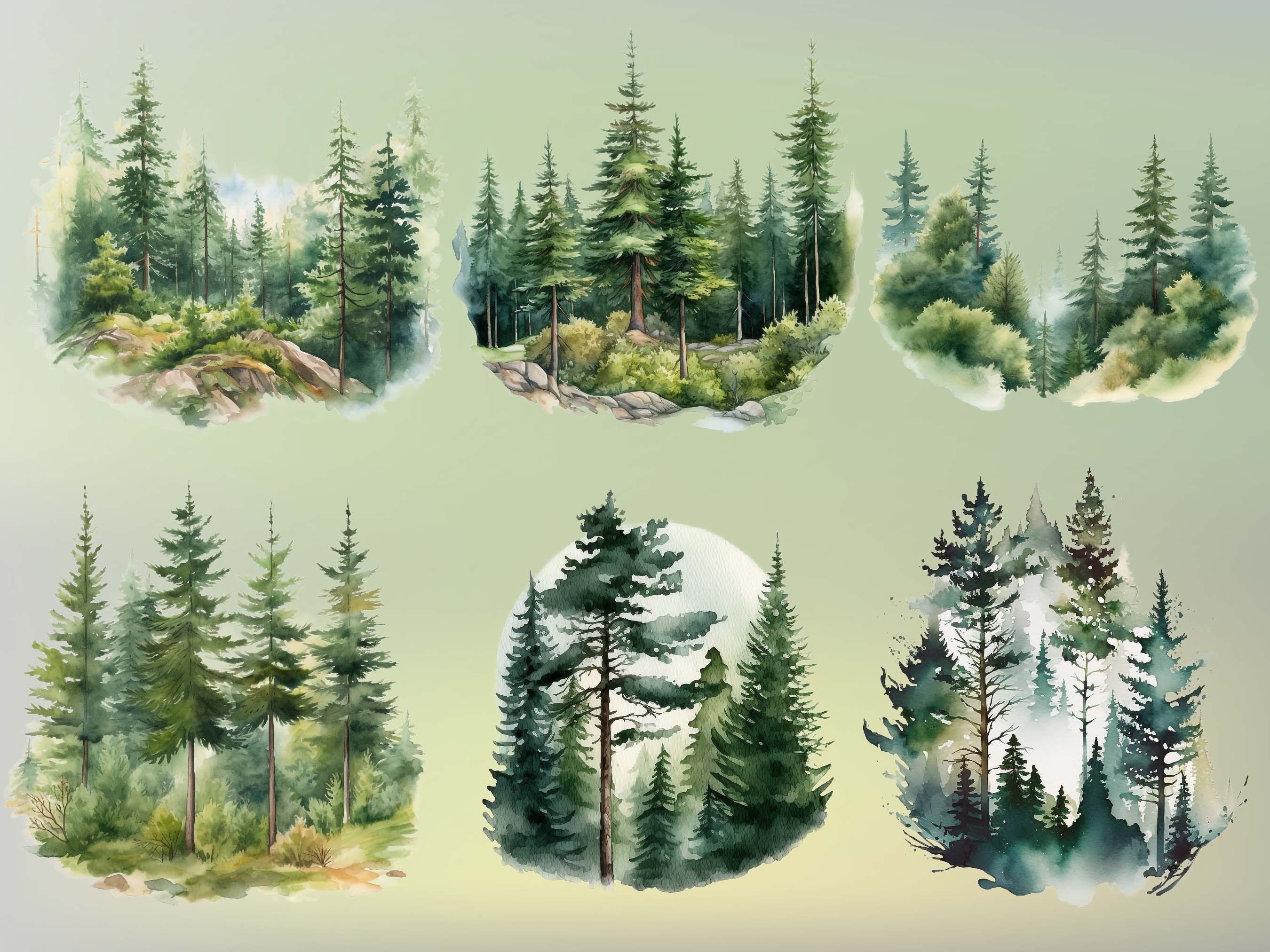 Watercolor Forest Tree Clipart, 20 Pine Tree Png , Woodland Tree ...