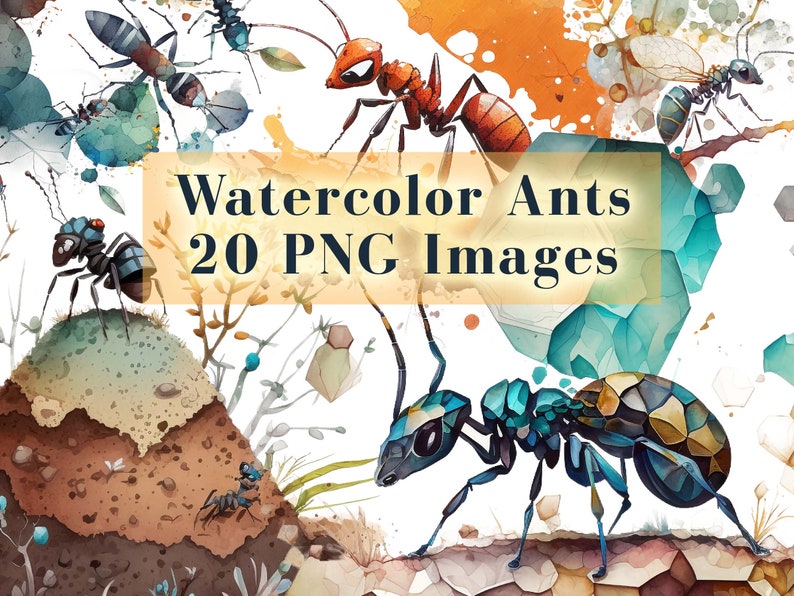 Watercolor Ants Clipart Bundle, 20 Digital Ants PNG, Watercolor Art ...