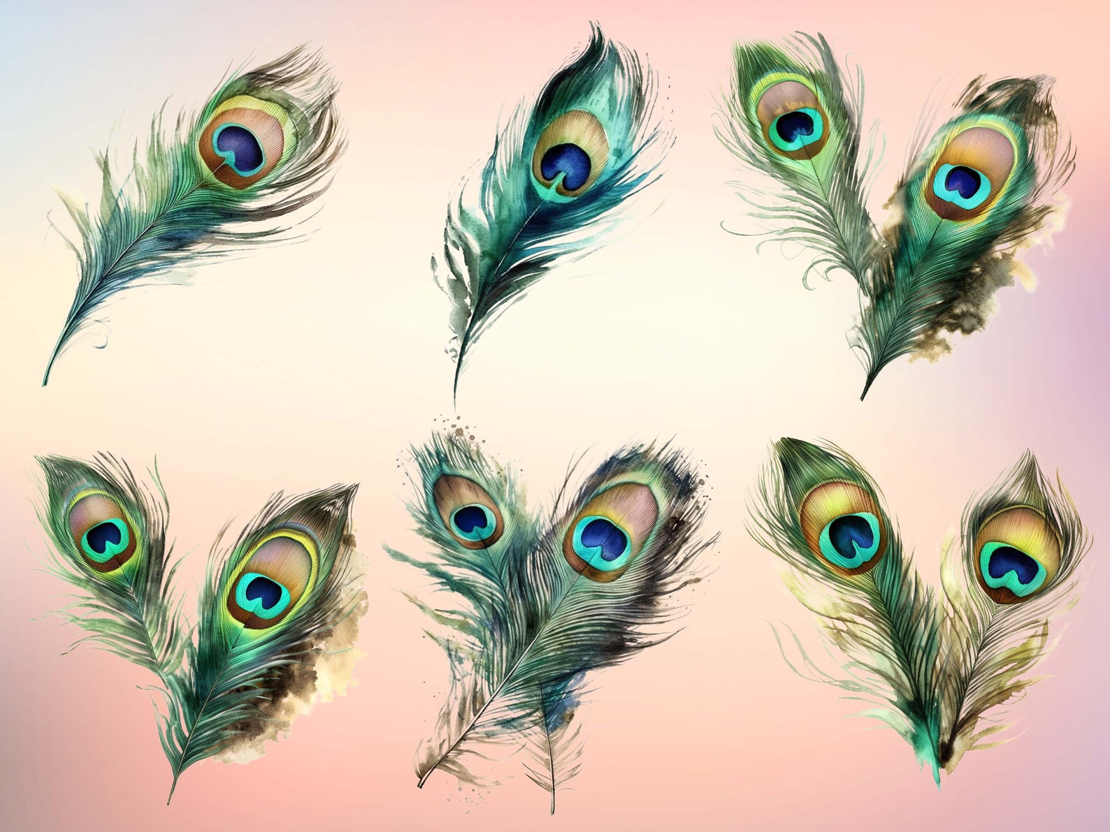 Watercolor Peacock Feather Clipart Bundle, 20 Peacock PNG, Boho Feather ...