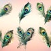 Watercolor Peacock Feather Clipart Bundle, 20 Peacock PNG, Boho Feather ...