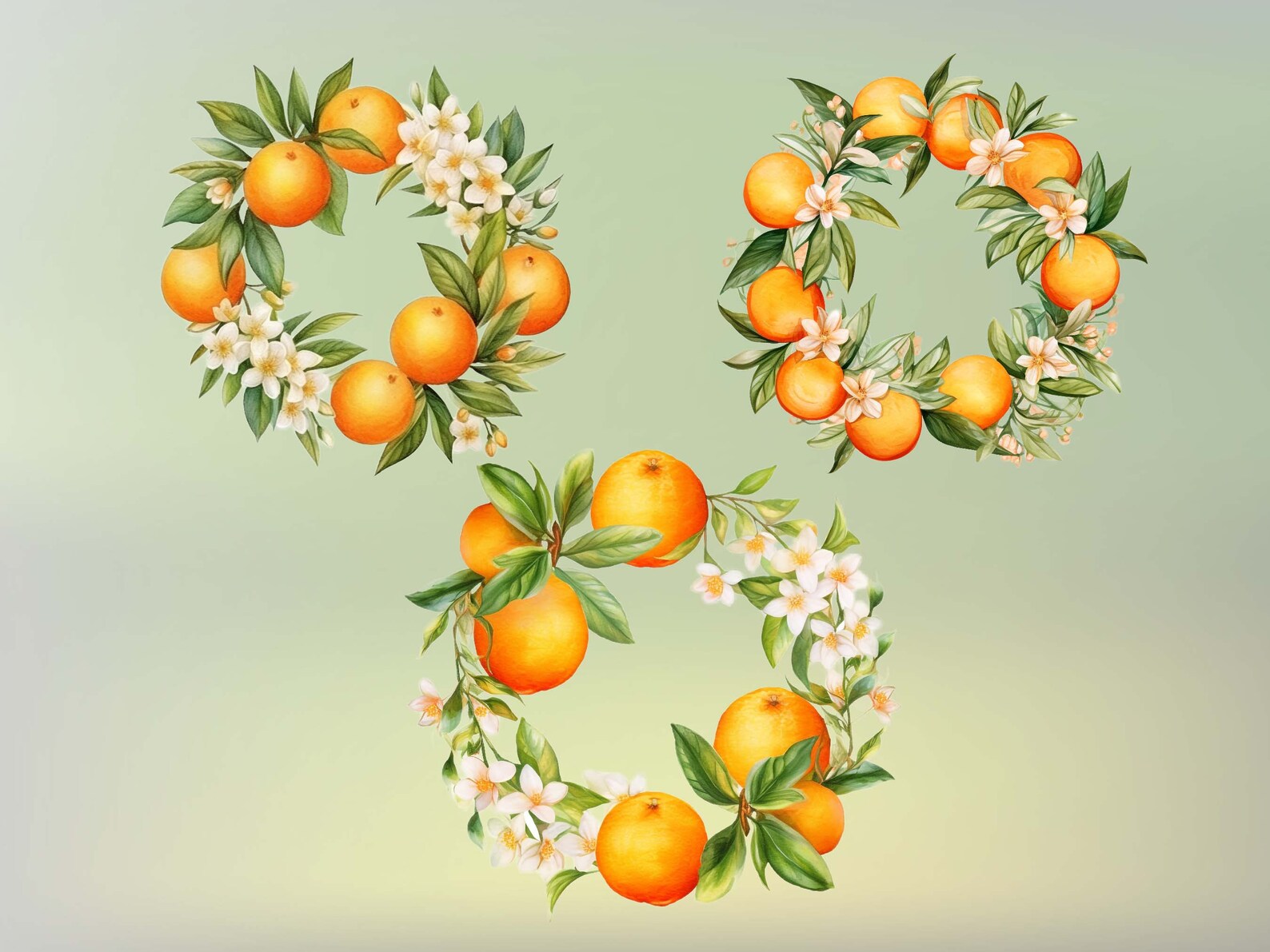 Watercolor Orange Clipart - 21 PNG Clip Art Graphics - Orange Twig ...