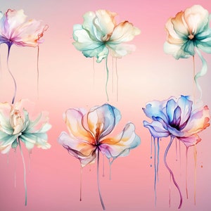 Watercolor Translucent Floral Clipart Bundle 20 PNG - Alcohol Ink Clip ...