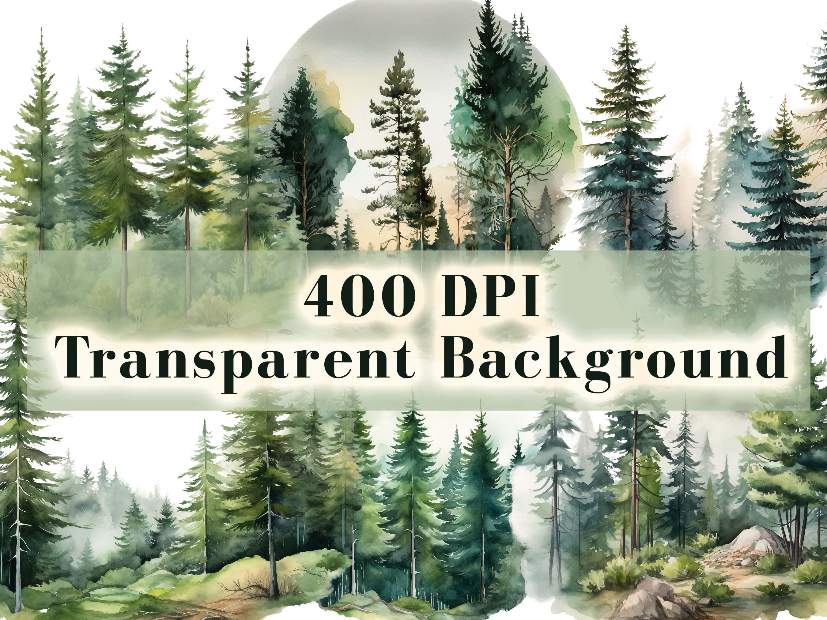 Watercolor Forest Tree Clipart, 20 Pine Tree Png , Woodland Tree ...