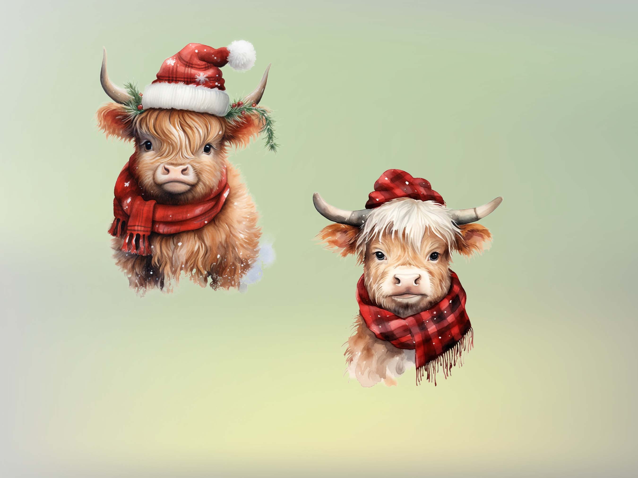 Watercolor Christmas Highland Cows Clipart Bundle 20 PNG Graphics for ...