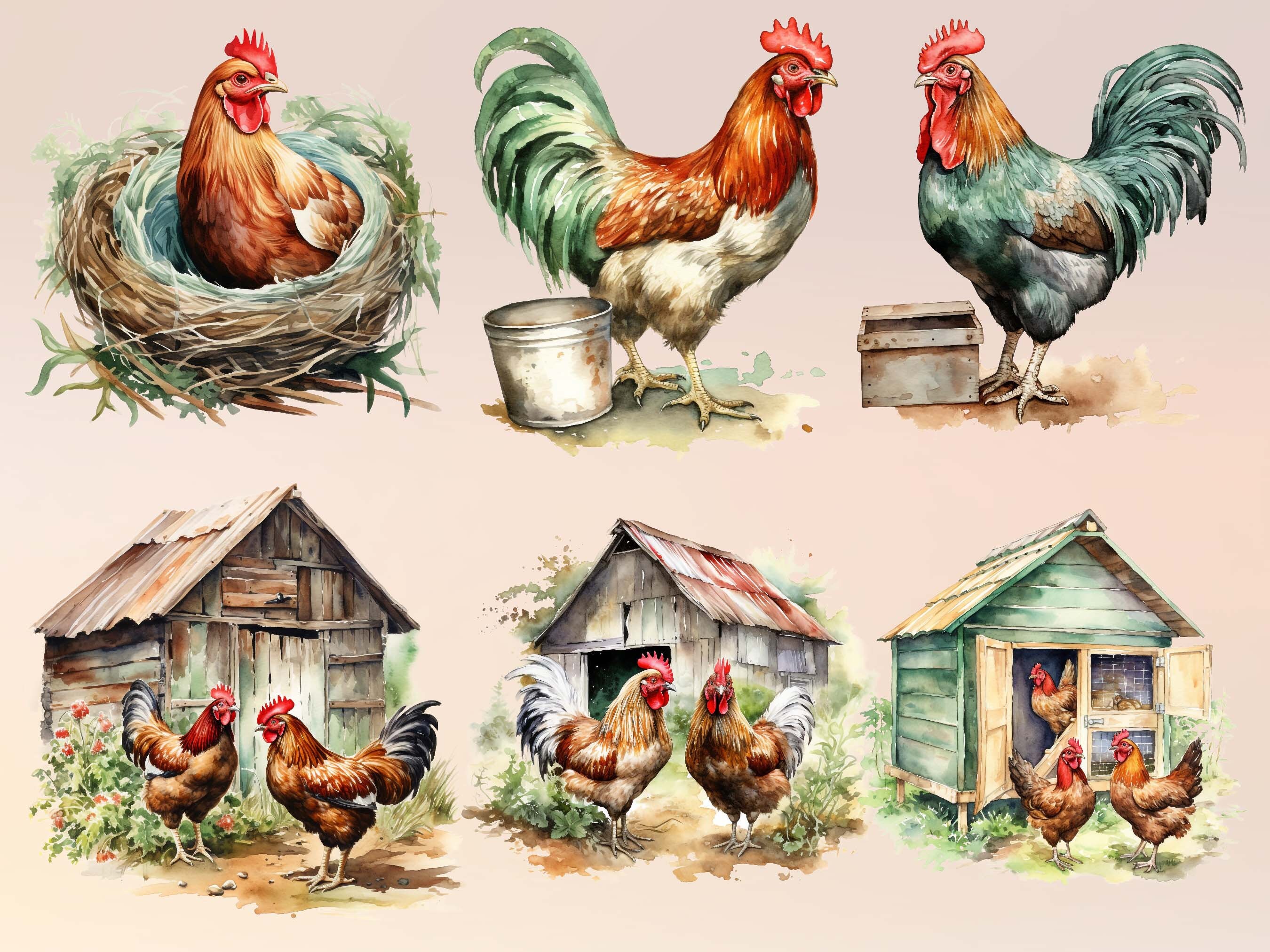 Watercolor Chicken PNG Bundle, Roosters Clipart, 20 High Quality ...