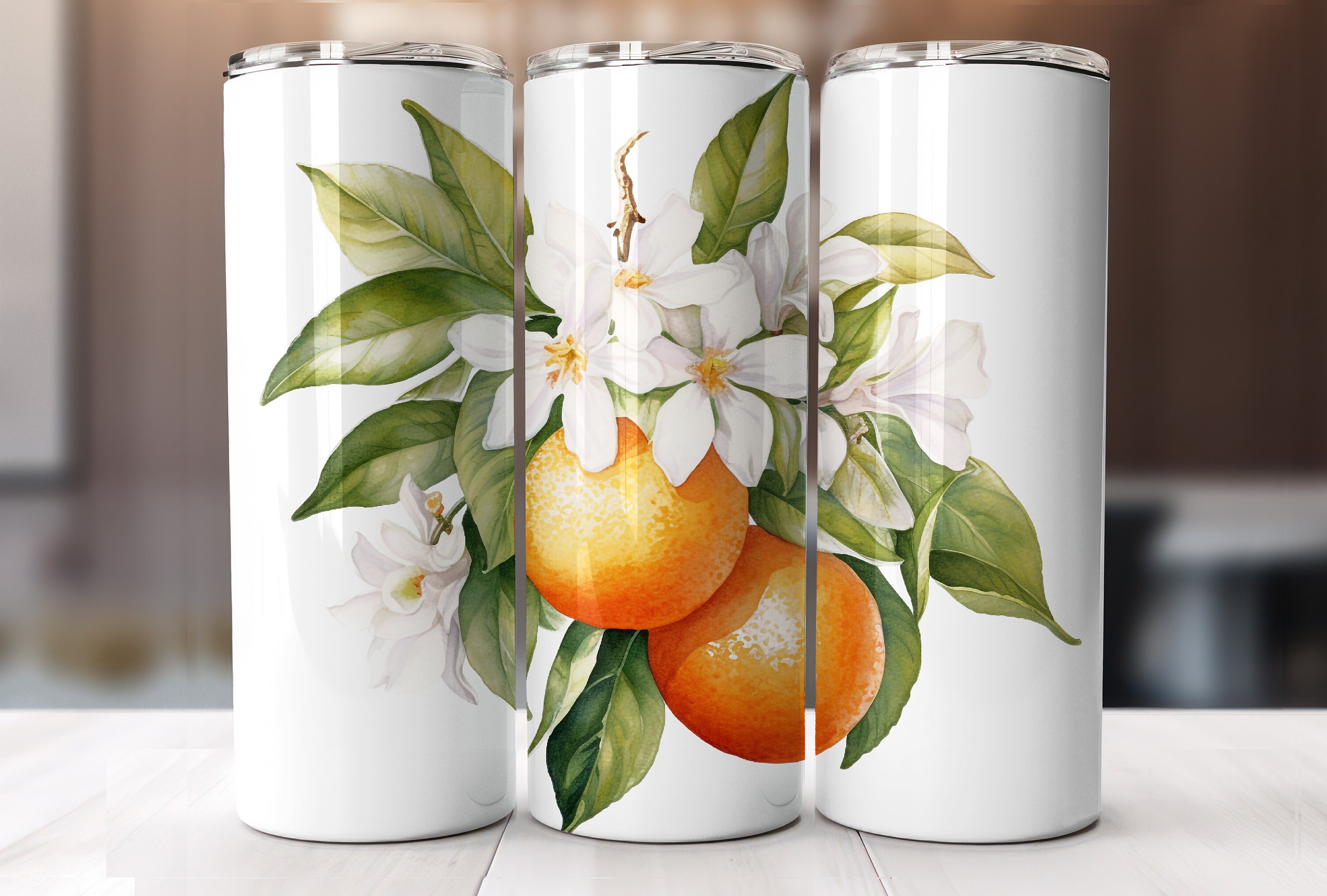 Watercolor Orange Clipart - 21 PNG Clip Art Graphics - Orange Twig ...