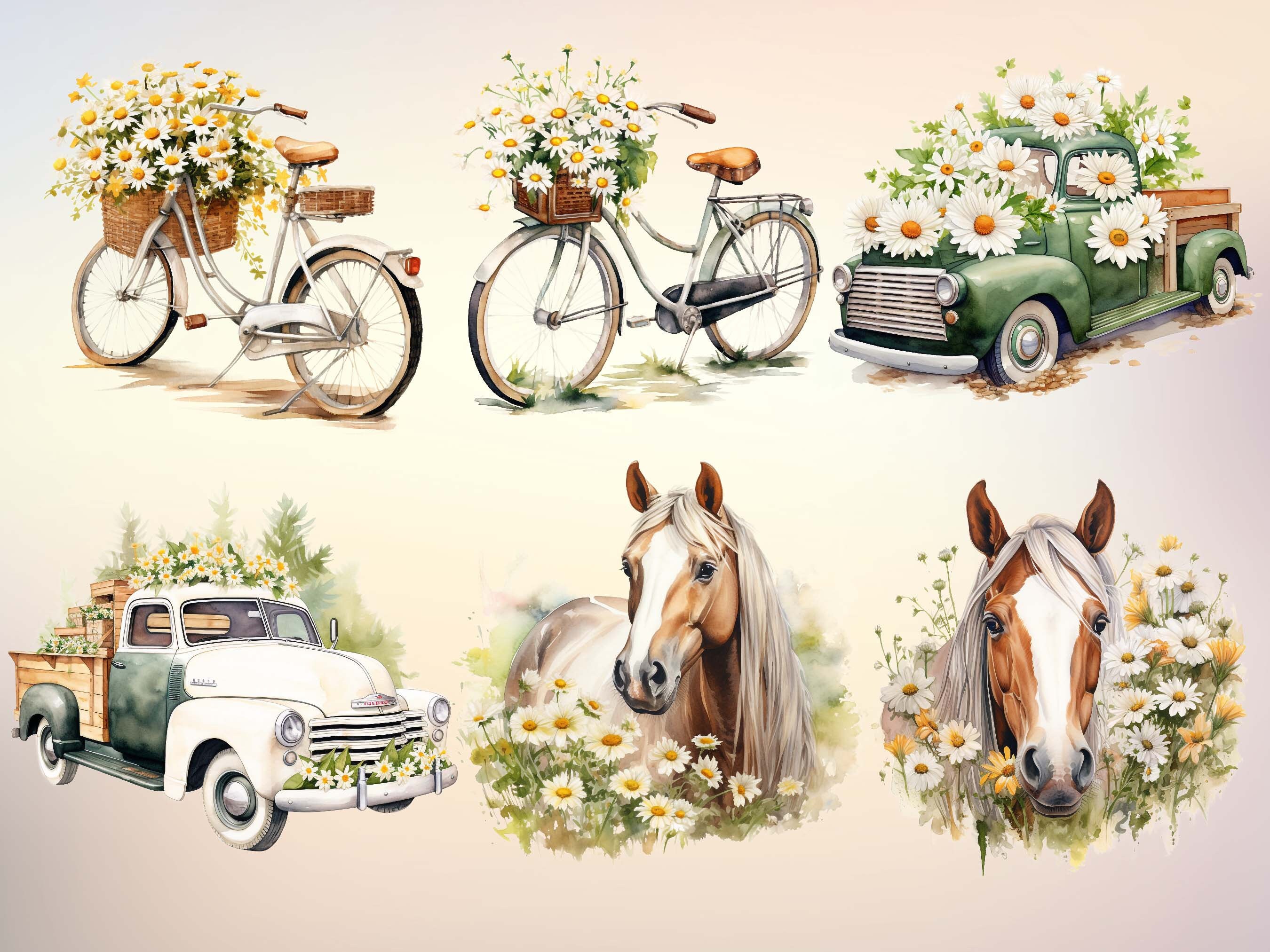 Watercolor Daisy Clipart Bundle 20 PNG, Daisies Clip Art, Boho Flowers ...