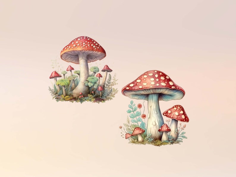 Retro Mushrooms Clipart Bundle - 20 Mystical Fantasy Toadstool PNG ...