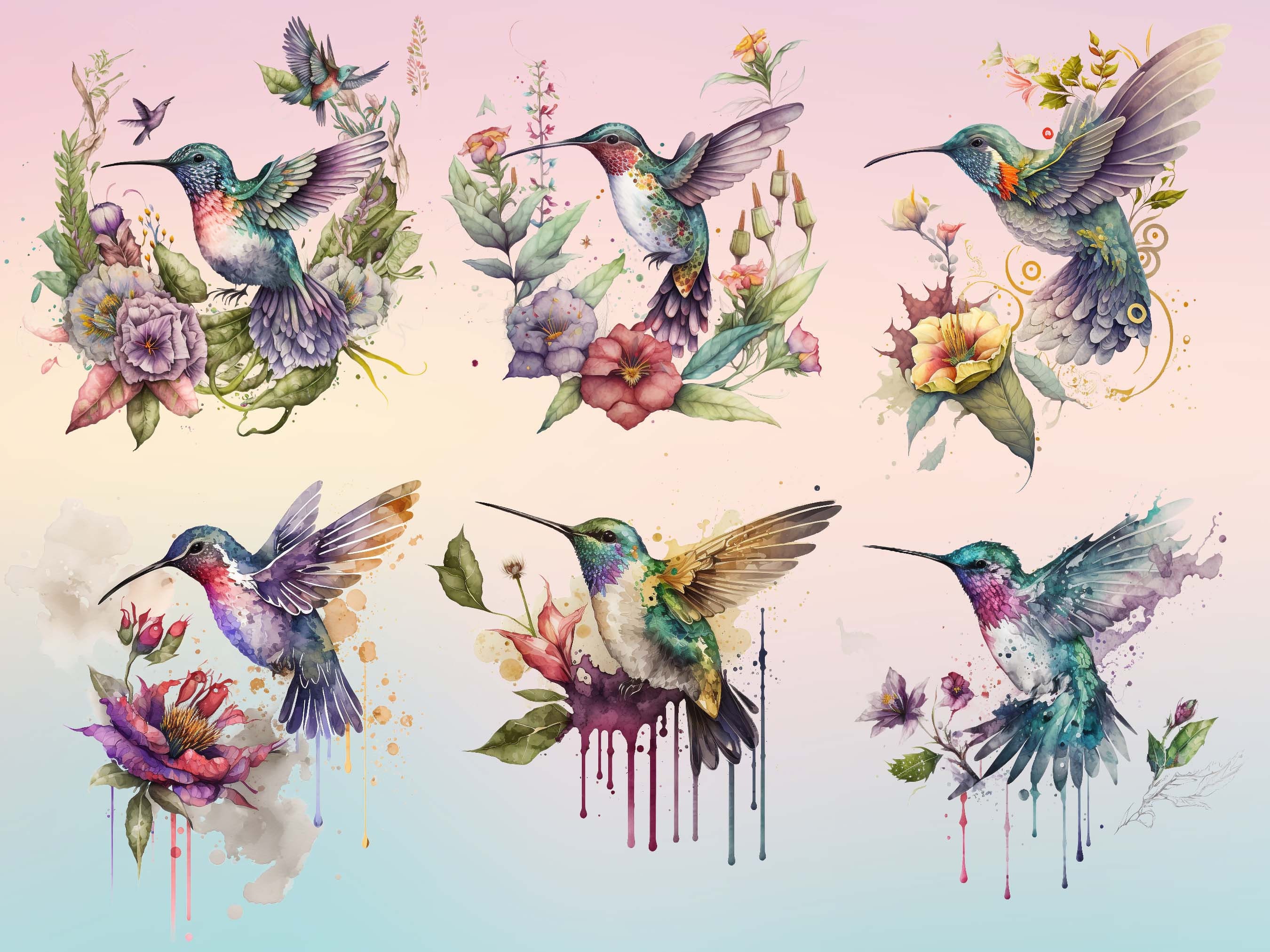 Watercolor Hummingbird Clipart Bundle 20 PNG Illustrations, Crafting ...