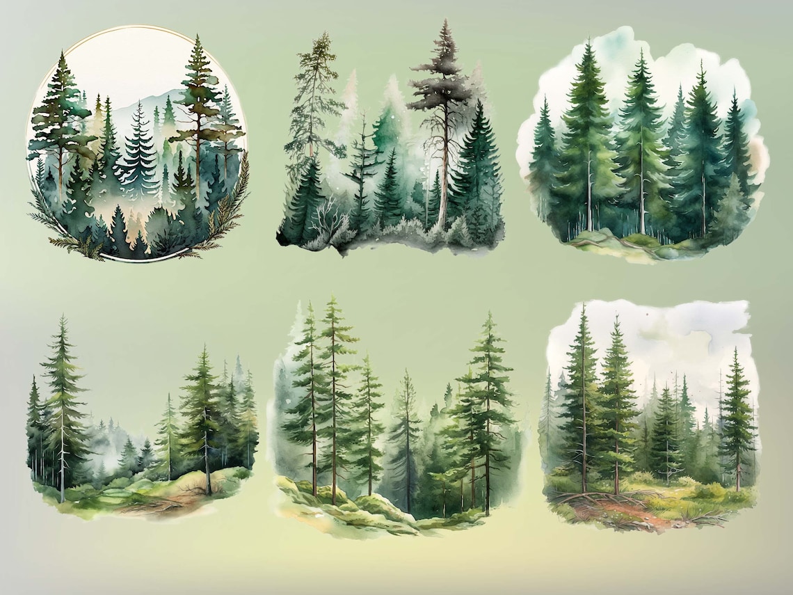 Watercolor Forest Tree Clipart 20 Pine Tree Png Woodland - Etsy