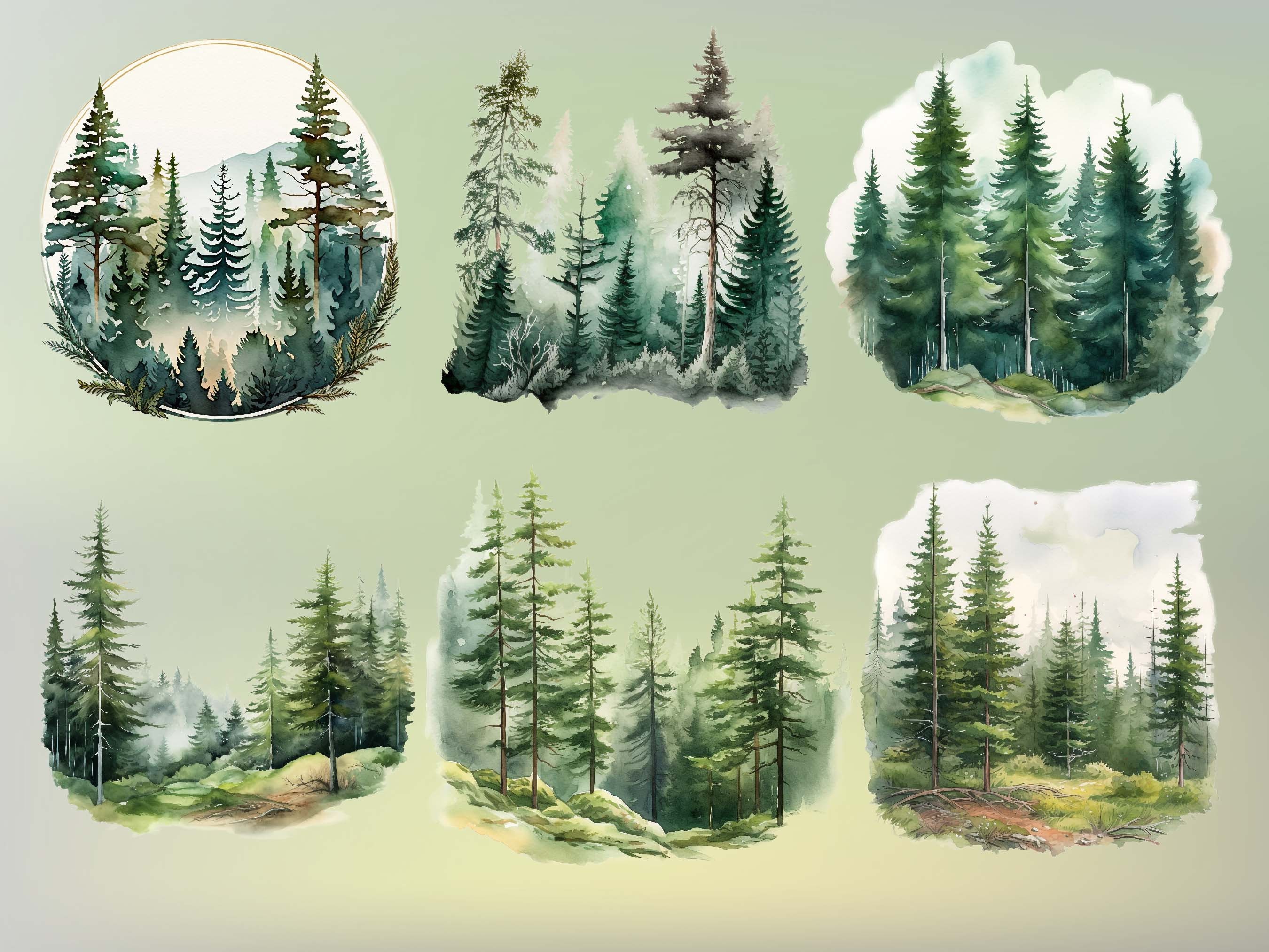 Watercolor Forest Tree Clipart, 20 Pine Tree Png , Woodland Tree ...