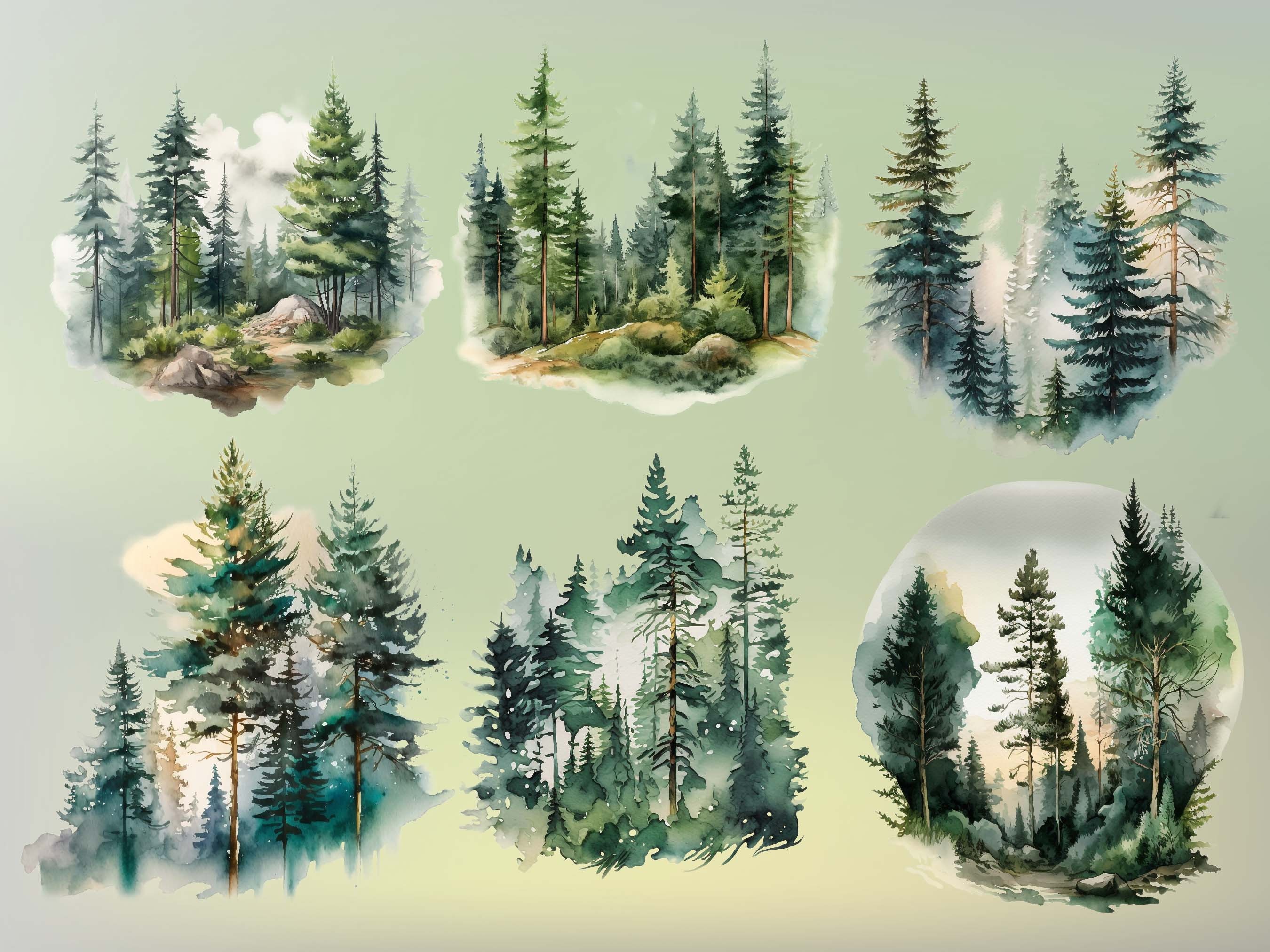 Watercolor Forest Tree Clipart, 20 Pine Tree Png , Woodland Tree ...
