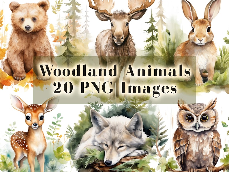 Woodland Animals Clipart - Watercolor Forest Animals PNG - Cute ...