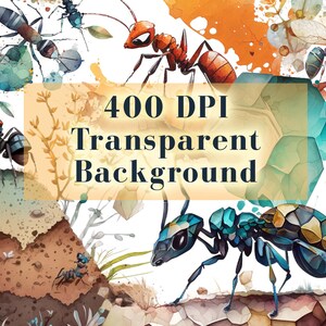 Watercolor Ants Clipart Bundle, 20 Digital Ants PNG, Watercolor Art ...