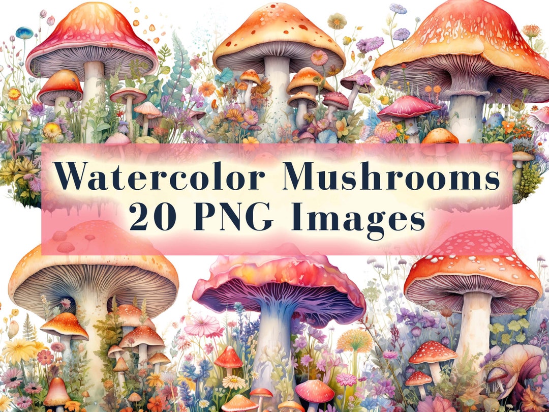 Watercolor Mushrooms Clipart Bundle - 20 Mystical Fantasy Toadstool PNG ...