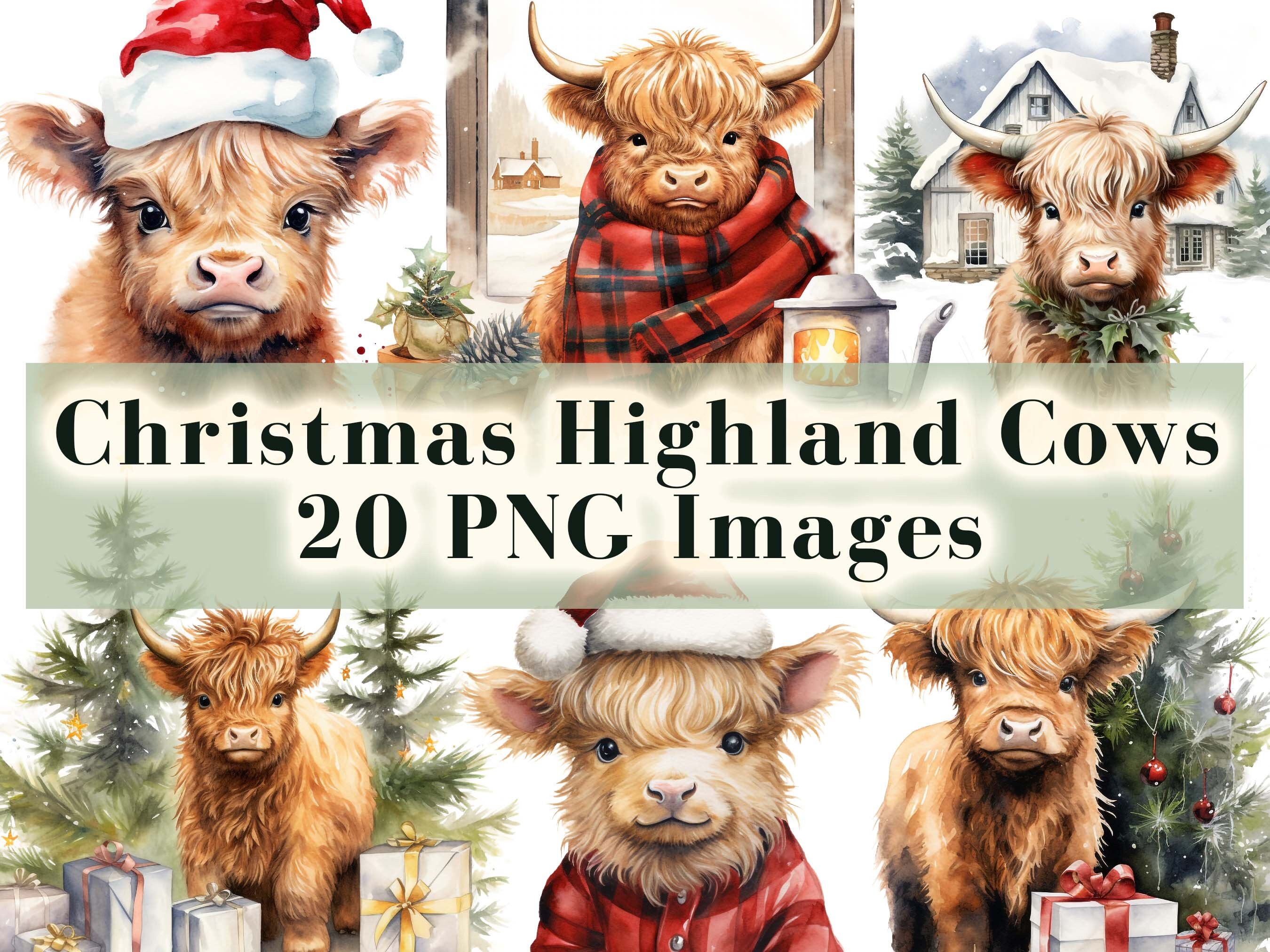 Watercolor Christmas Highland Cows Clipart Bundle 20 PNG Graphics for ...