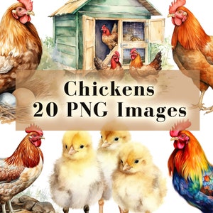 Watercolor Chicken PNG Bundle, Roosters Clipart, 20 High Quality ...