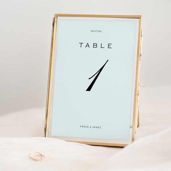 Terracotta Boho Wedding Table Numbers Simple Table Number Card Modern ...