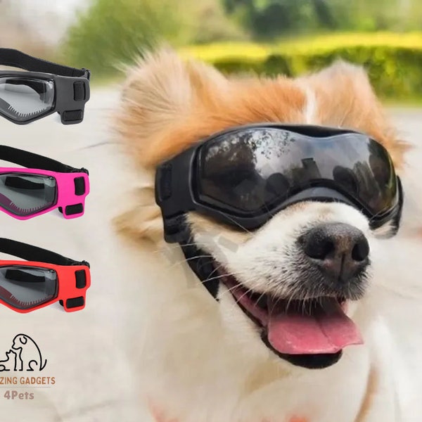 Goggles for Cats - Etsy