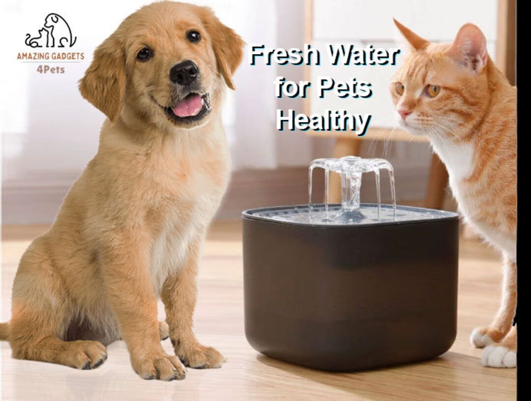 Pet Water Automatic Fountain Dispenser With Smart Pump for Cats, Dogs ...
