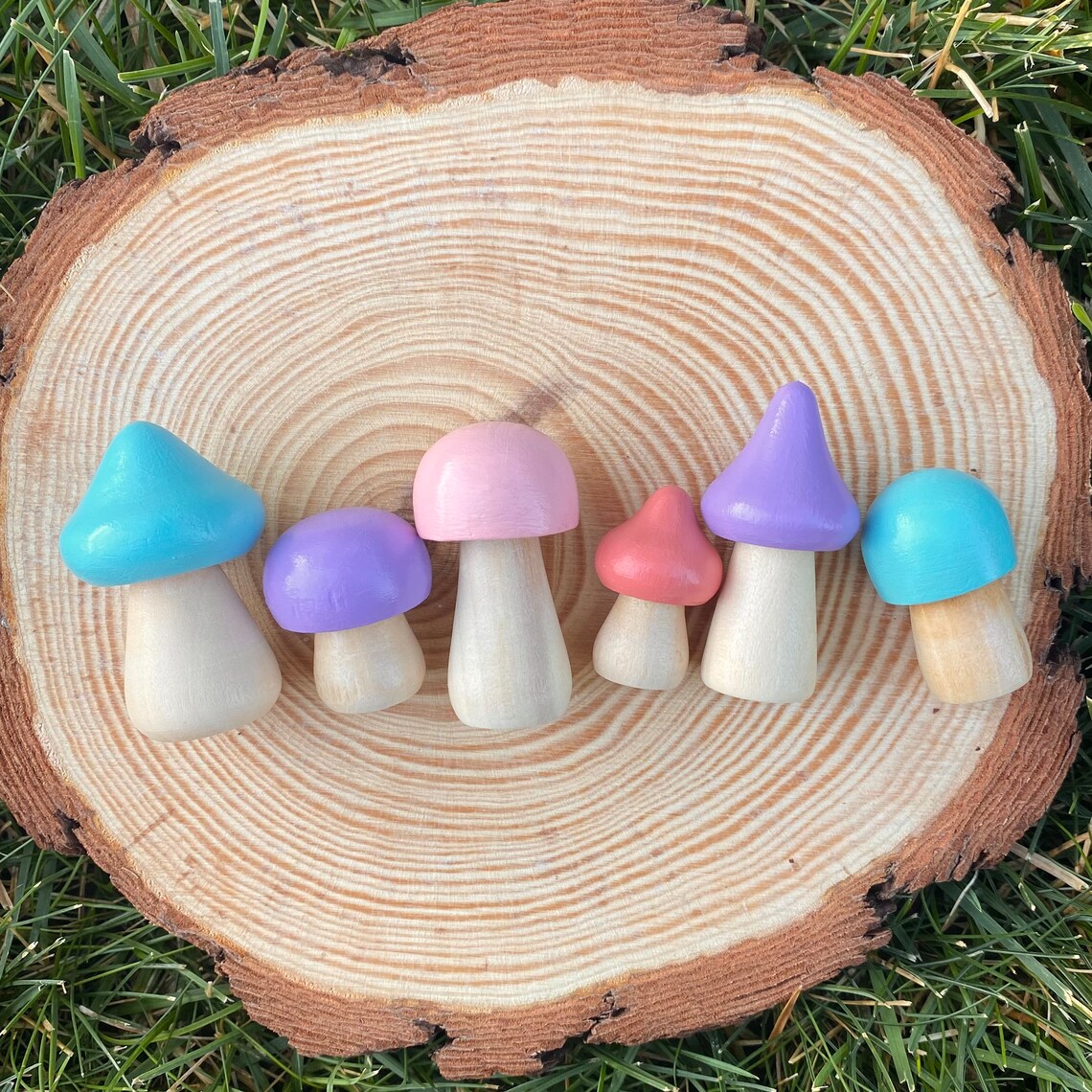 Hand Painted Mushrooms Mushroom Sensory Bin Sensory Bin Filler Fairy ...