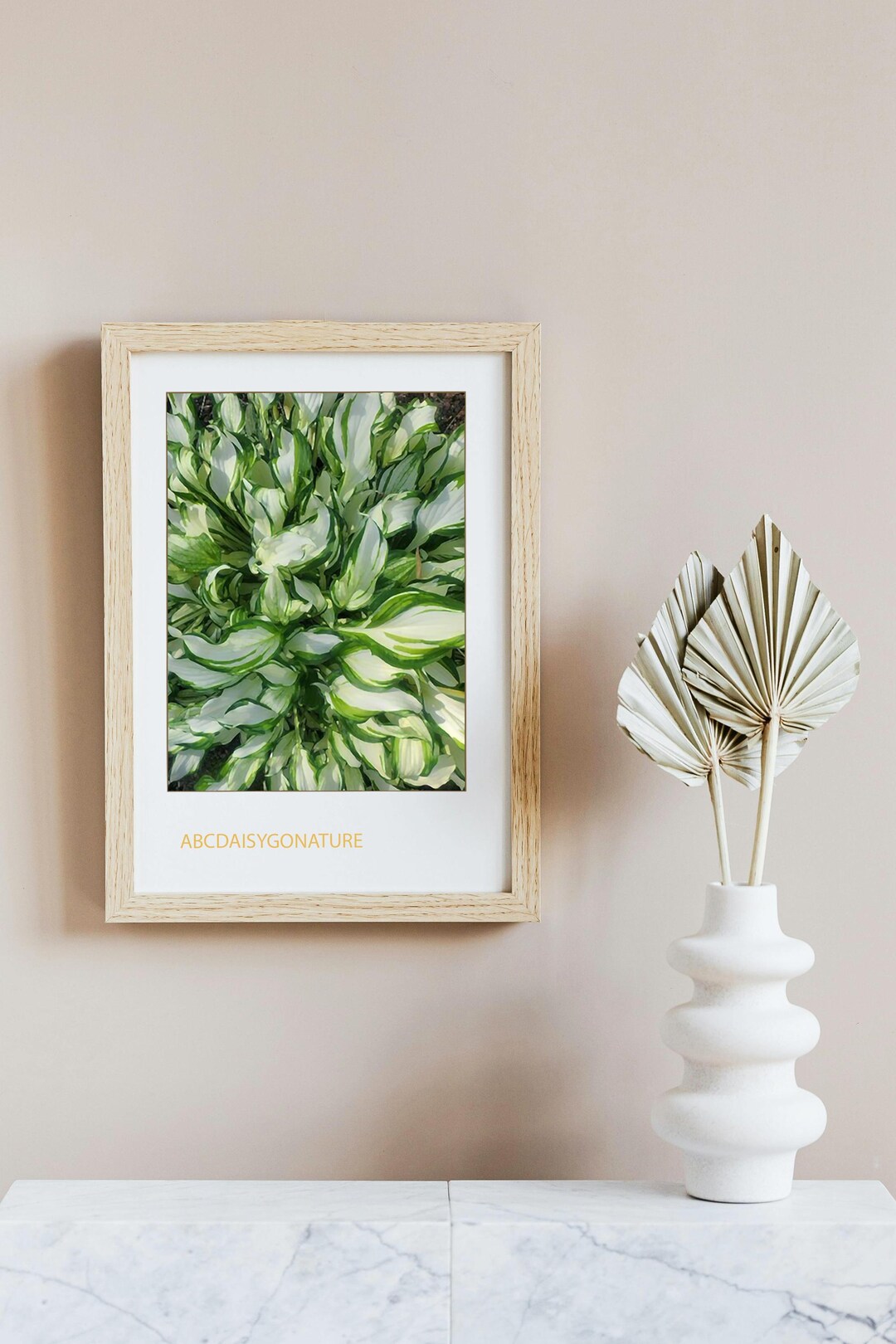 Nature Inspired Art Curly Spiral Variegated Hosta Closeup Hosta Scene ...