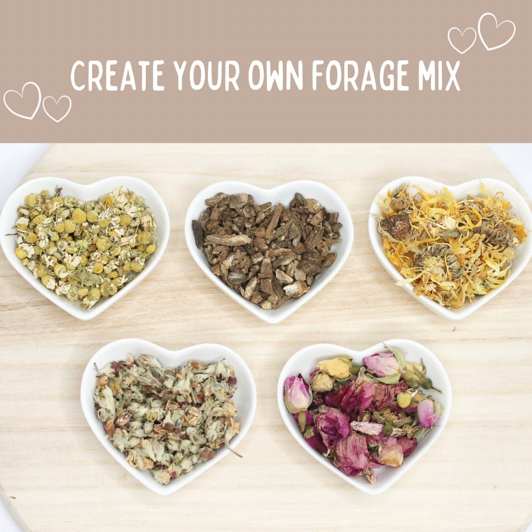 Personalized Forage Mix Perfect Hay/greens Topper for Rabbit, Hamster ...