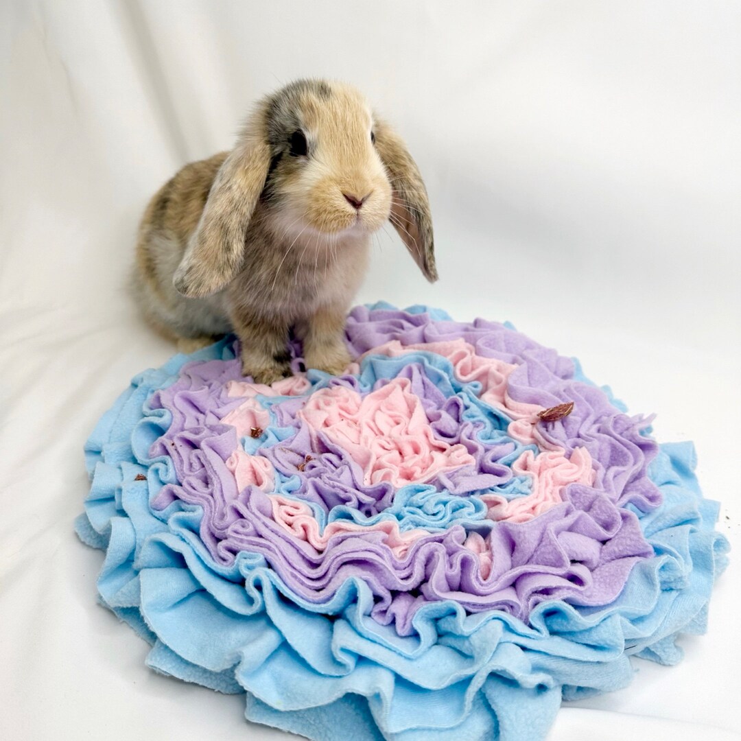 Pastel Snuffle Mat Foraging Toy Bunny Rabbit Toy Dog Mat - Etsy