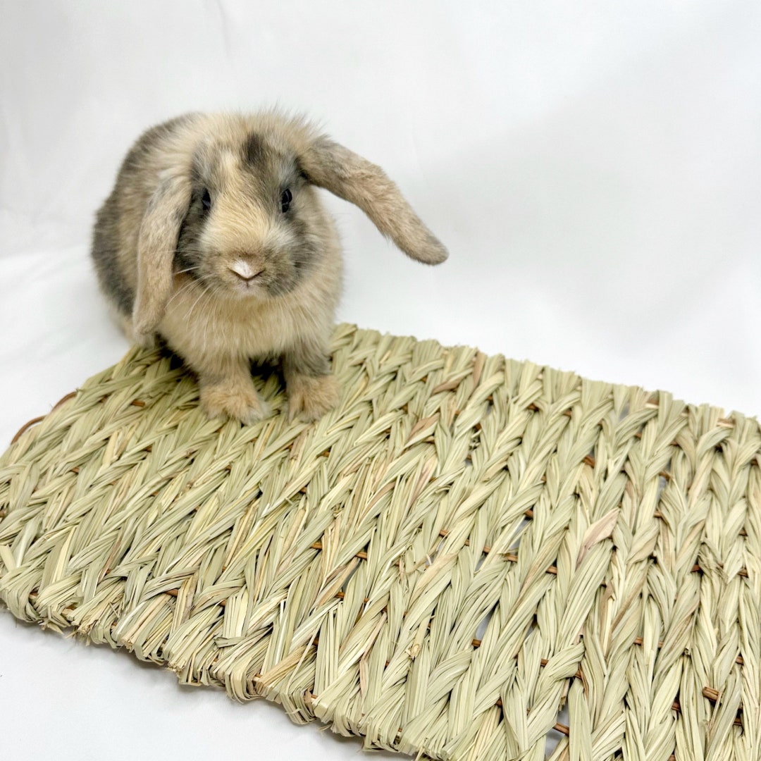 Natural Seagrass Mat, Dig and Chew Mat, Rabbit Toy, Bunny Toy, Bunny ...