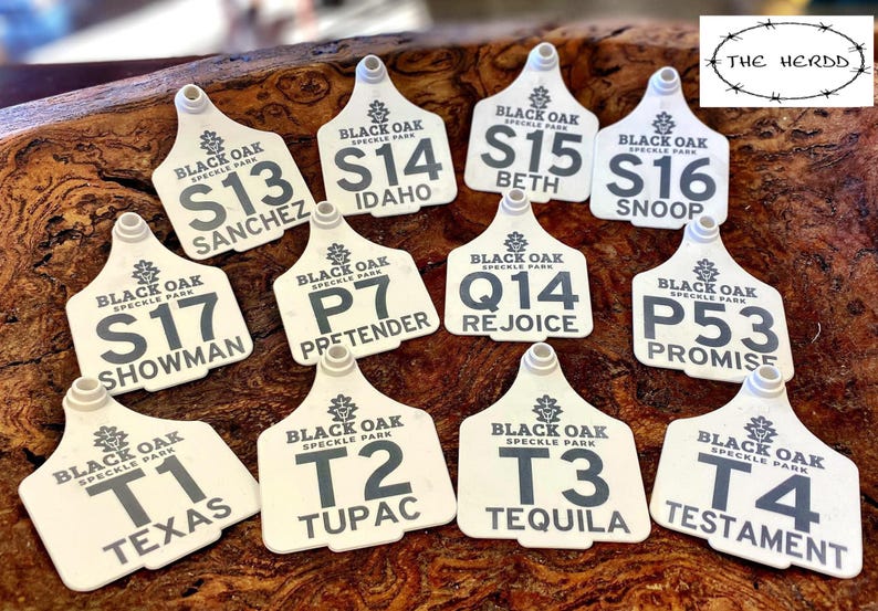 Custom Tags - Etsy Australia