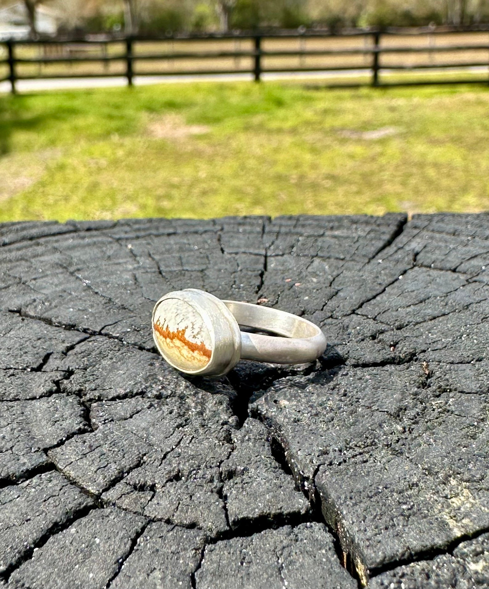 A Tiny Landscape in This Chicken Track Jasper Sterling Ring Size 5 - Etsy