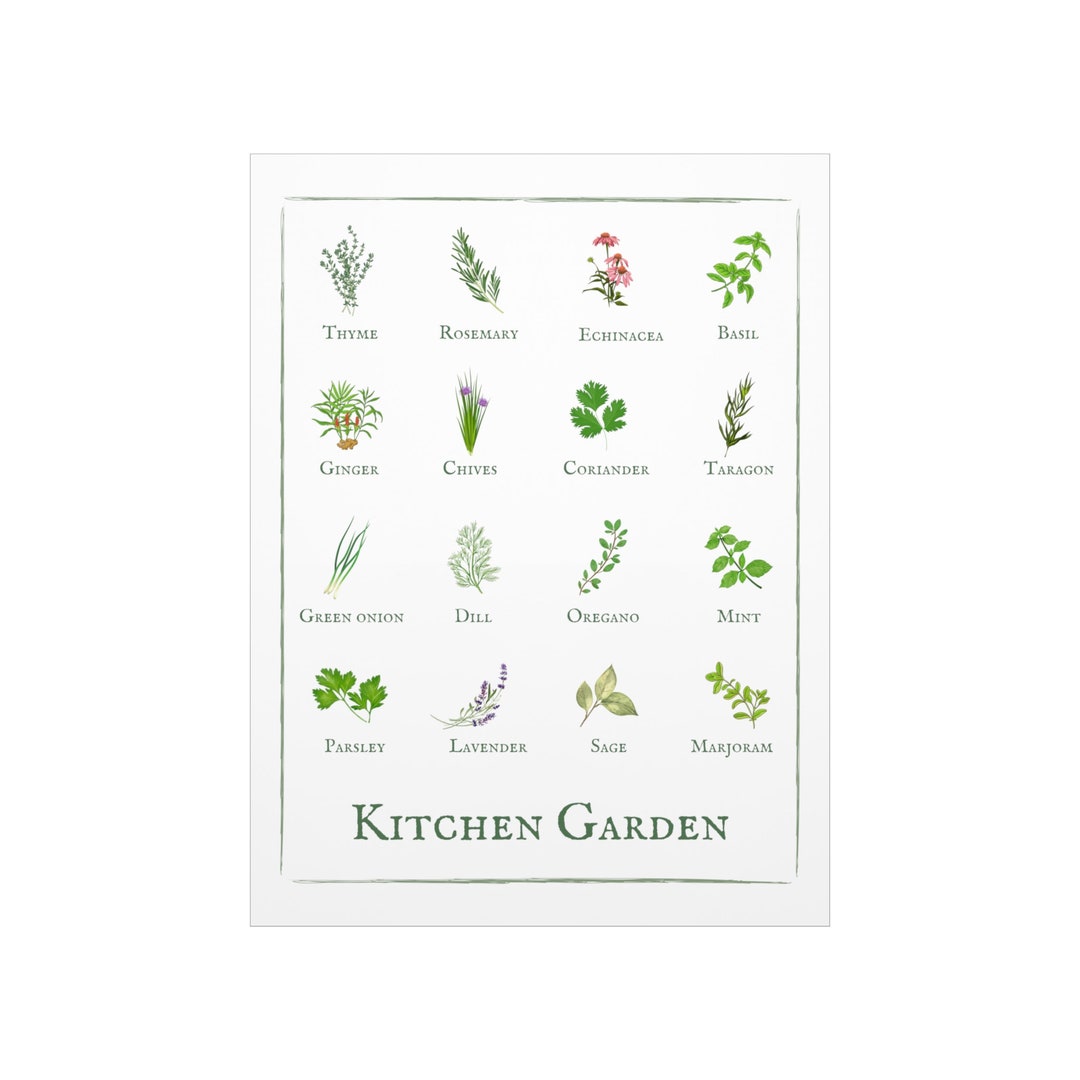 Herb Kitchen Garden Print Posters - Etsy