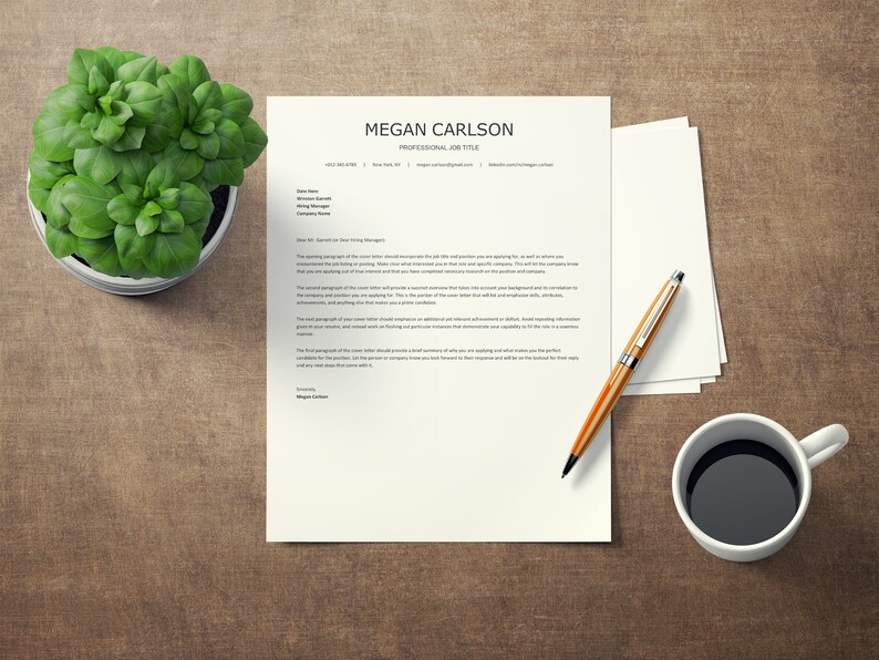 Best ATS Friendly Professional Resume Templates for Google Docs, Ms ...
