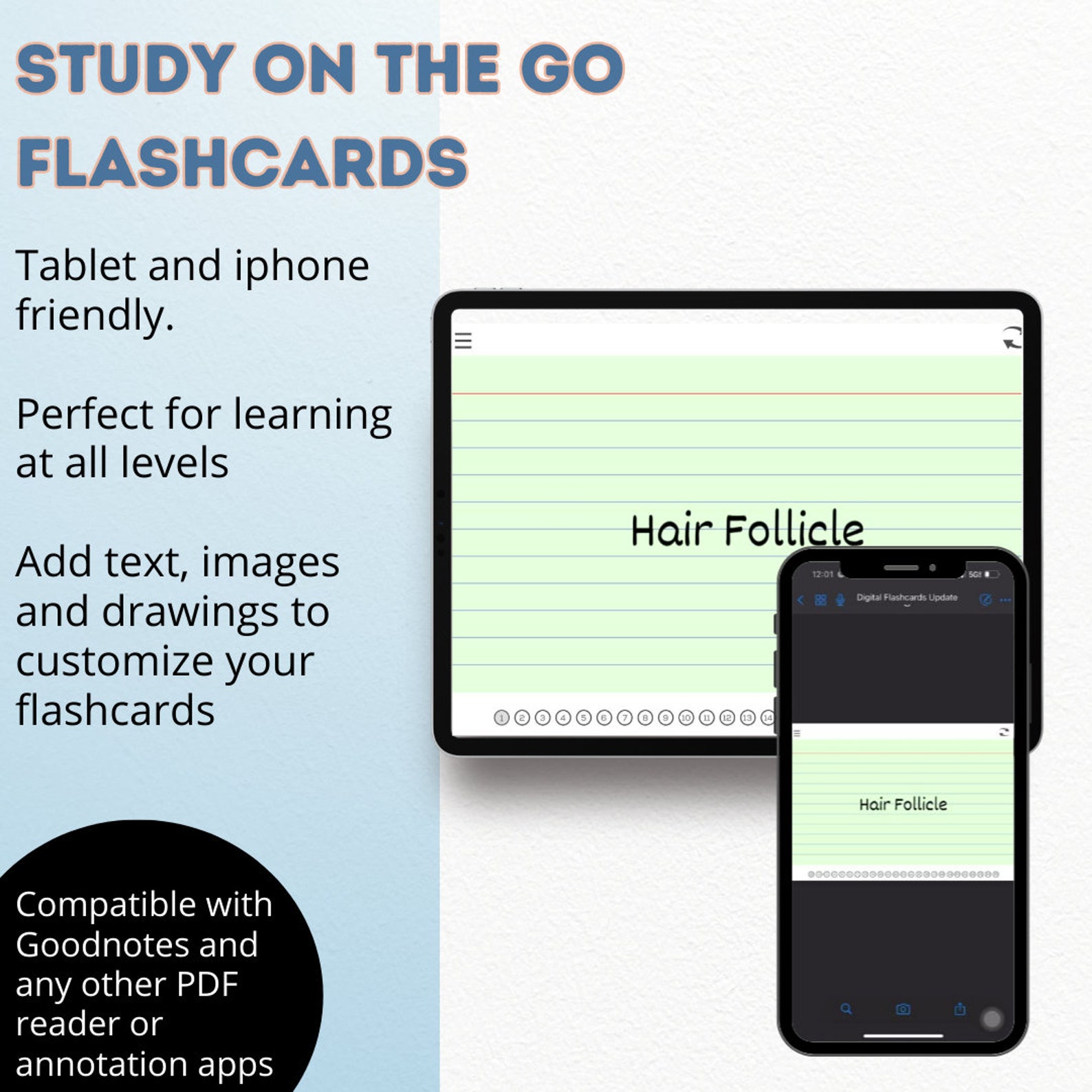 Digital Flashcards: Interactive Study |spaced Repetition | Goodnotes ...