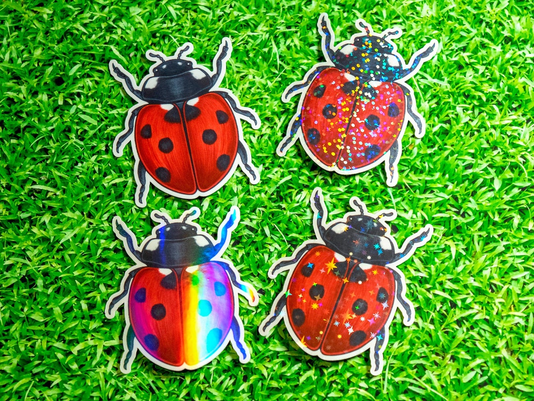 Ladybug Holograph Sticker / Handmade Artist Vinyl Sticker / Nature ...