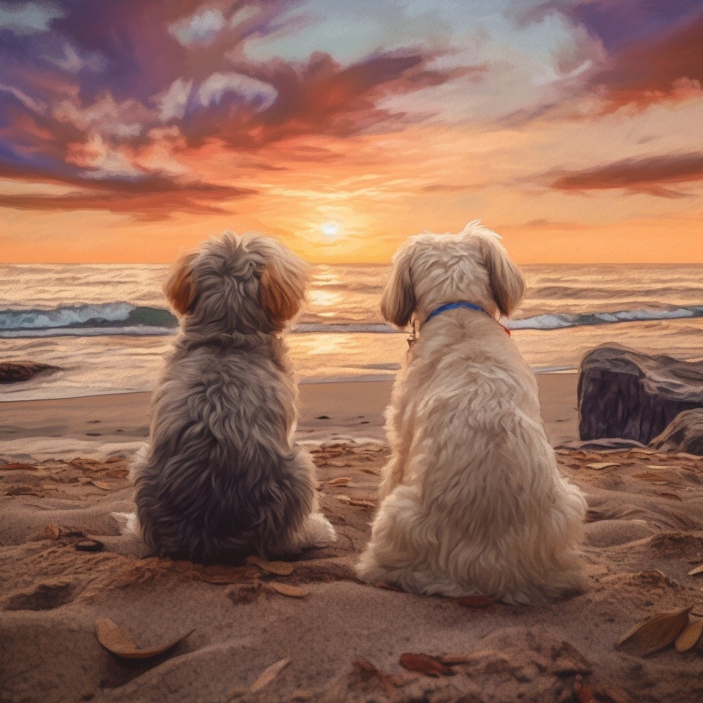 Dog Beach Sunset