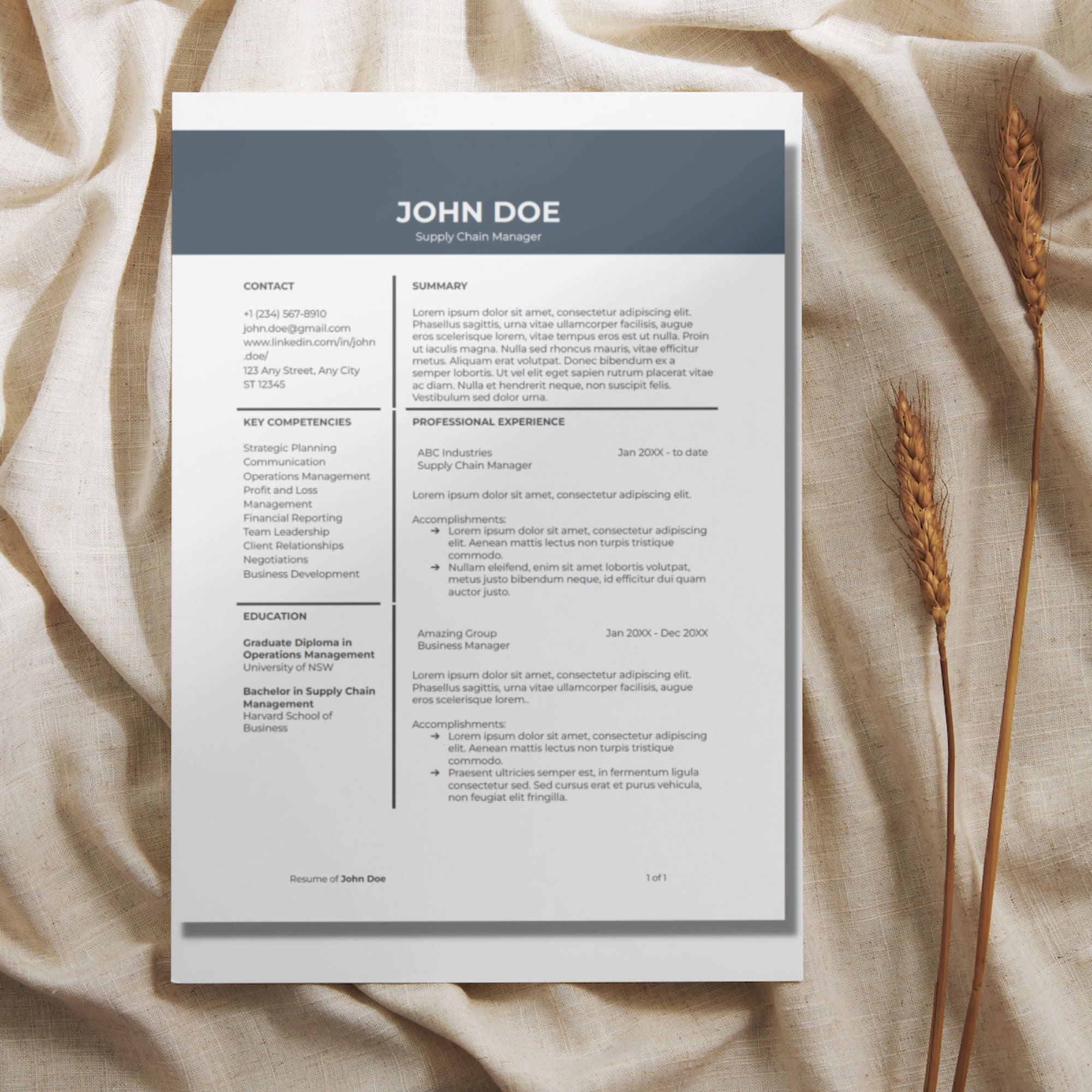 Easily Editable Google Docs Resume Template | Simple One Page Resume - Etsy