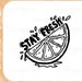 Stay Fresh Svg Fresh Svg Orange Svg Citrus Svg Citrus Pun Svg Sayings ...