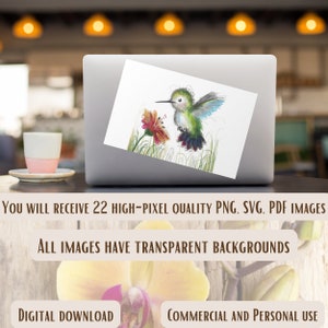 Hummingbird Scribble Drawing PNG SVG Bundle, 22 Sketch-style Bird Clipart Designs for Crafts ...
