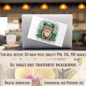 Frog Scribble Drawing PNG SVG Bundle, 30 Doodle Amphibian Clipart ...