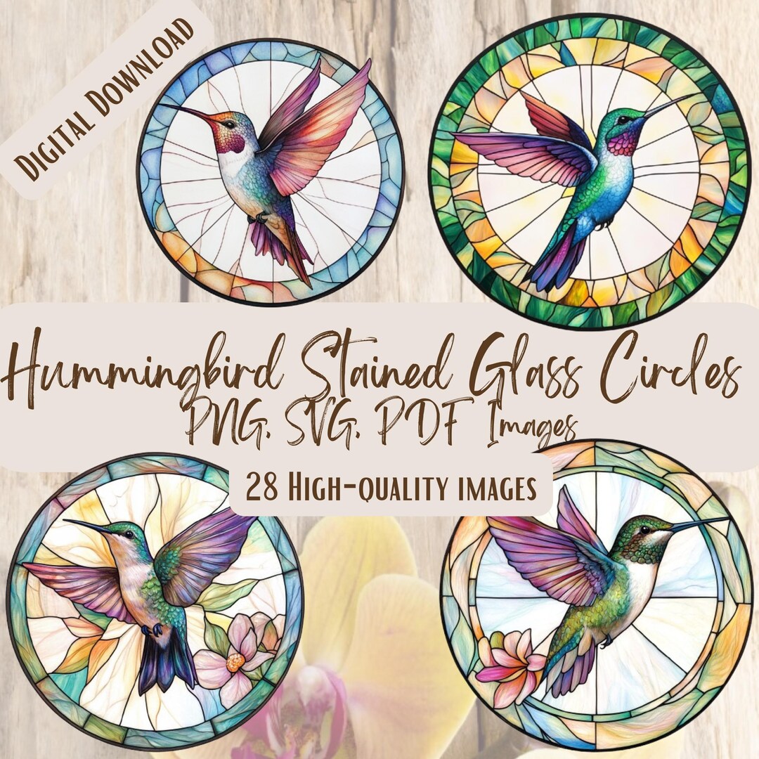 Hummingbird Stained Glass Circle Clipart, 28 PNG SVG Images (digital ...
