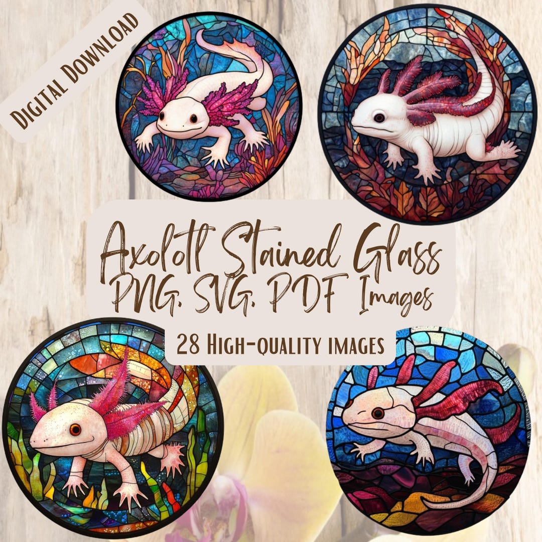 Axolotl Stained Glass PNG SVG Bundle, 28 Unique Amphibian Clipart ...