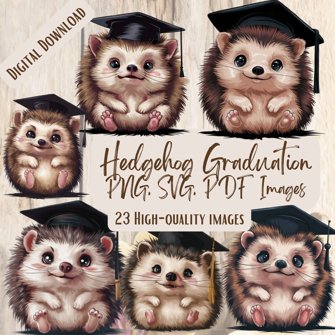 Hedgehog Graduation Clipart, 23 PNG SVG Bundle, Adorable Hedgehog ...