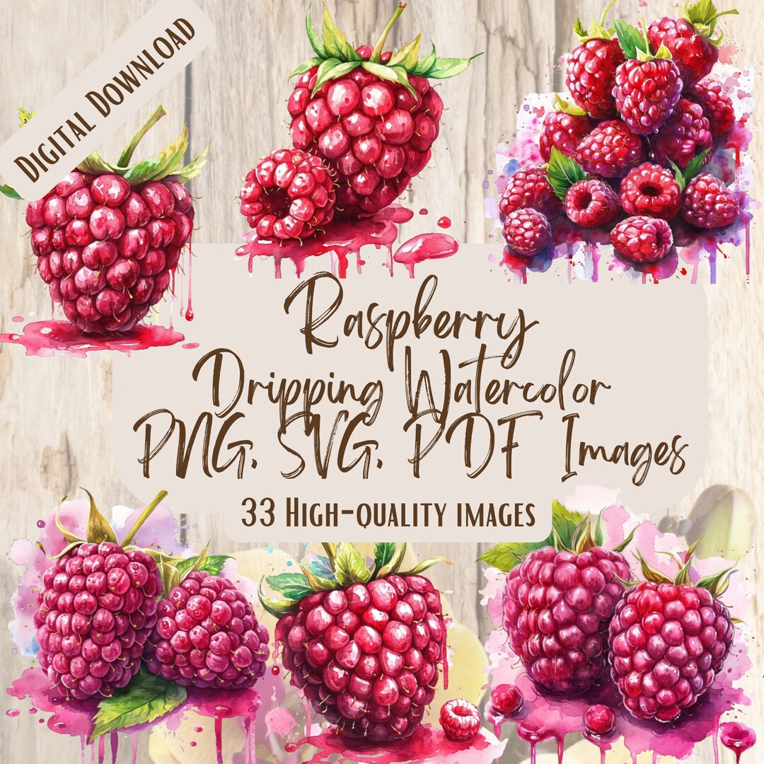 Raspberry Dripping Watercolor Clipart, Fruit PNG SVG Bundle, 33 Vibrant ...