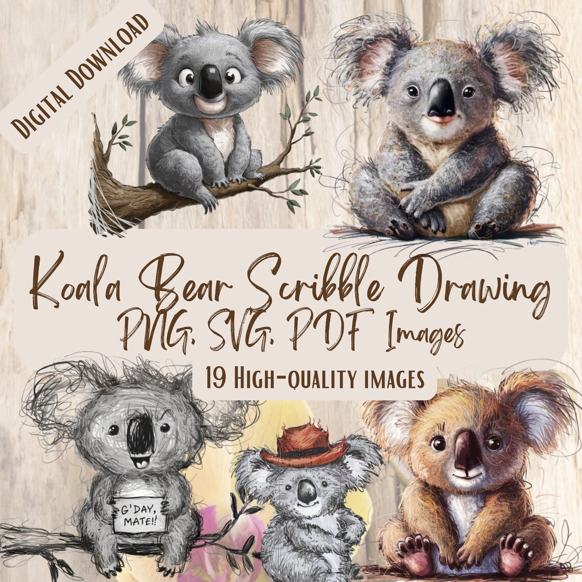 Koala Bear Scribble Drawing PNG SVG Bundle, 19 Hand-drawn Sketch Style ...