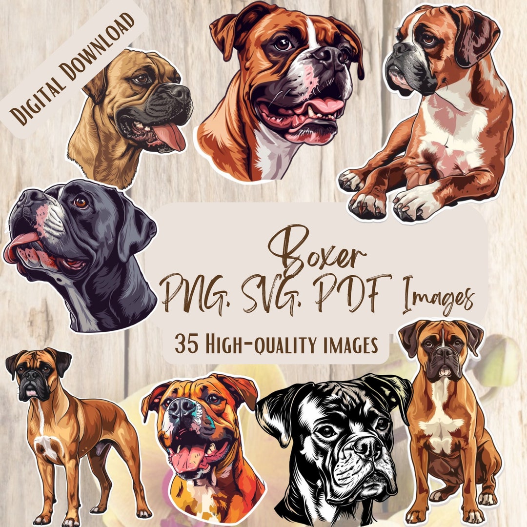 Boxer Dog PNG SVG Bundle, 35 Cute Boxer Clipart Designs for Craft ...
