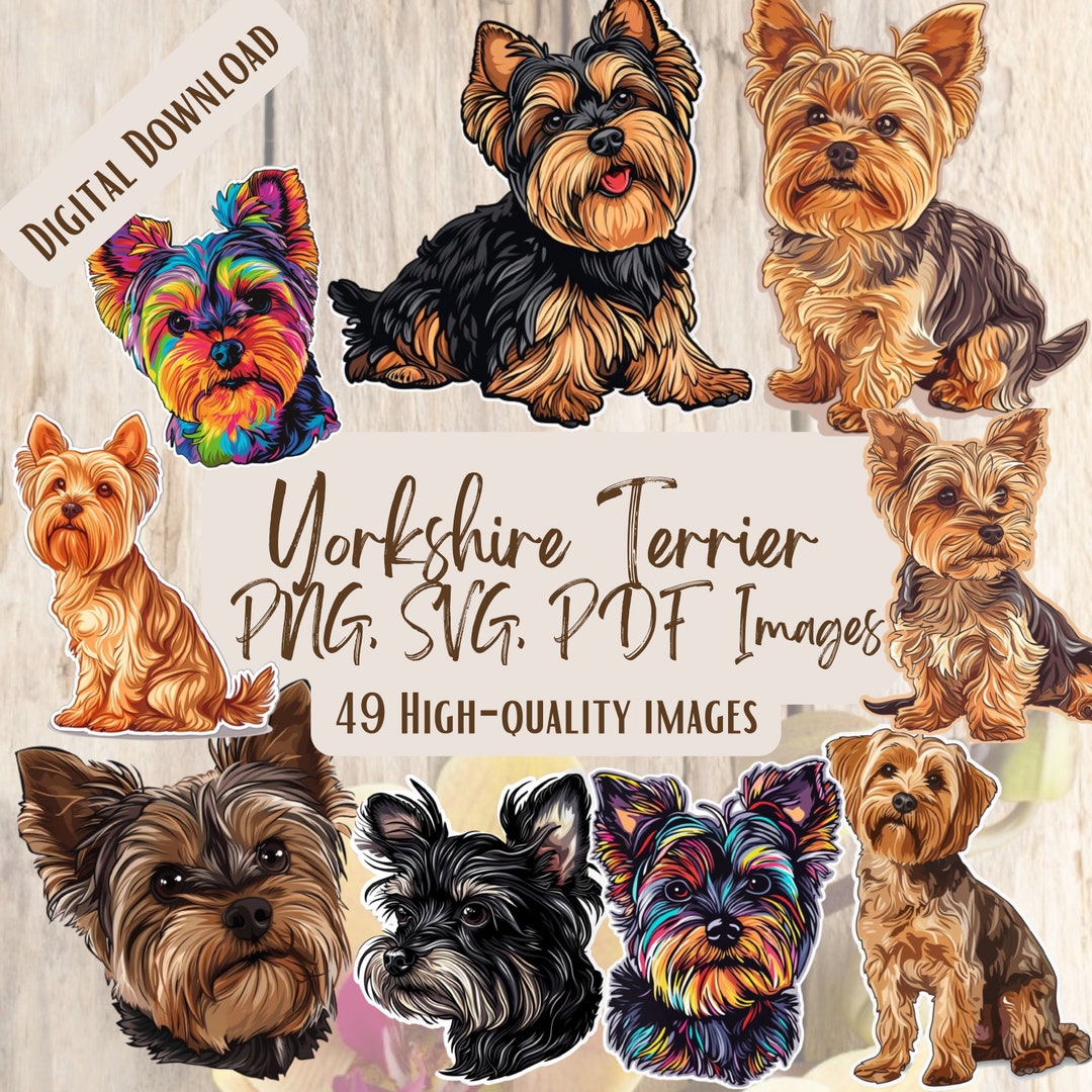 Yorkshire Terrier PNG SVG Bundle – 49 Cute Yorkie Clipart Designs for Crafts, Gifts, DIY ...