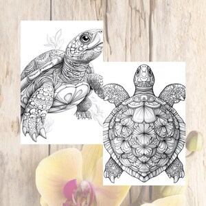 50 Turtle Coloring Pages, Cute and Intricate Turtle Designs for ...